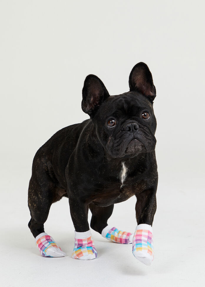 Shop Gingham Parent & Pet Socks in Multi | Accessories | Taking Shape AU