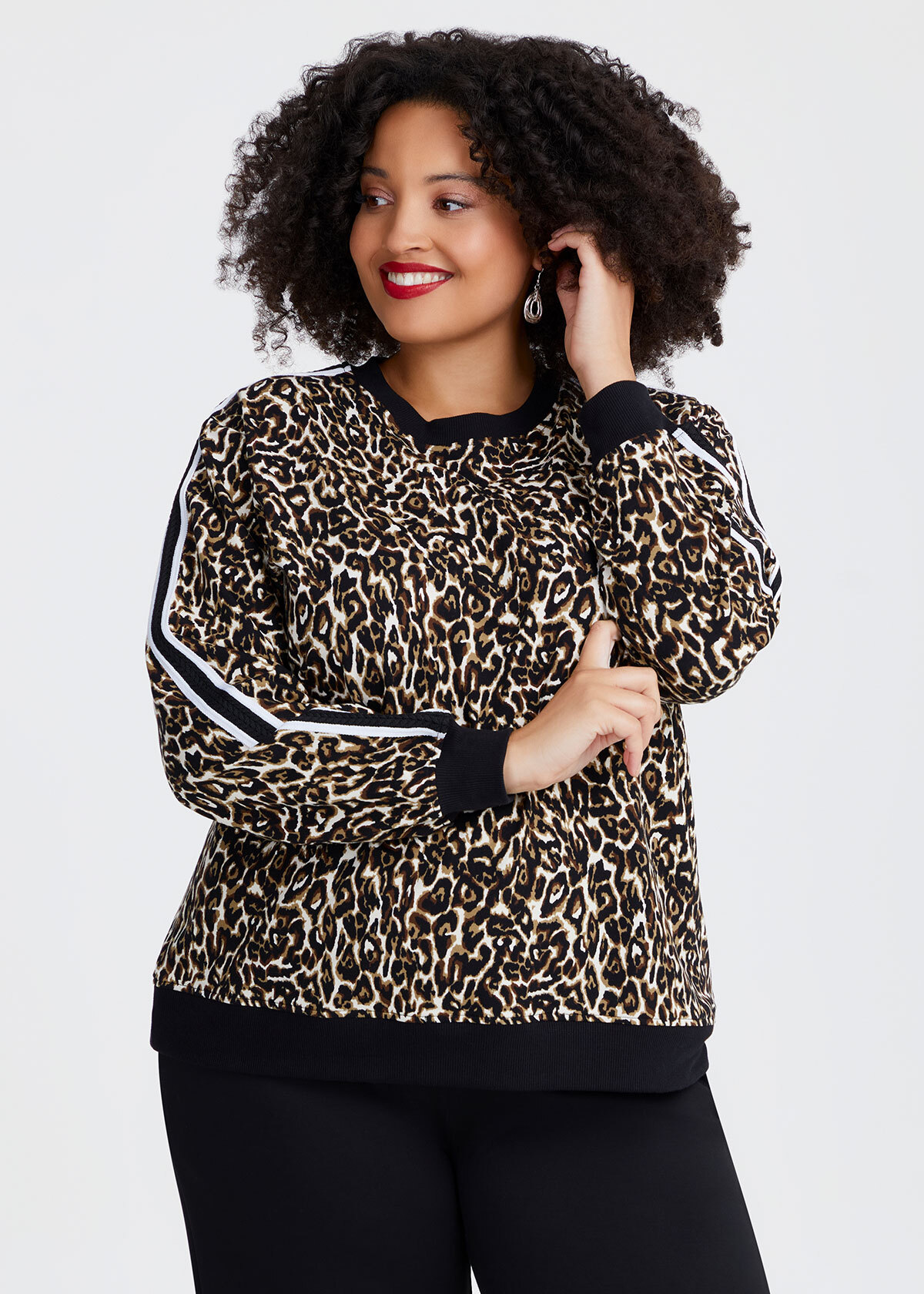Shop Plus Size Cotton Animal Print Sweatshirt, Multi | Taking Shape NZ