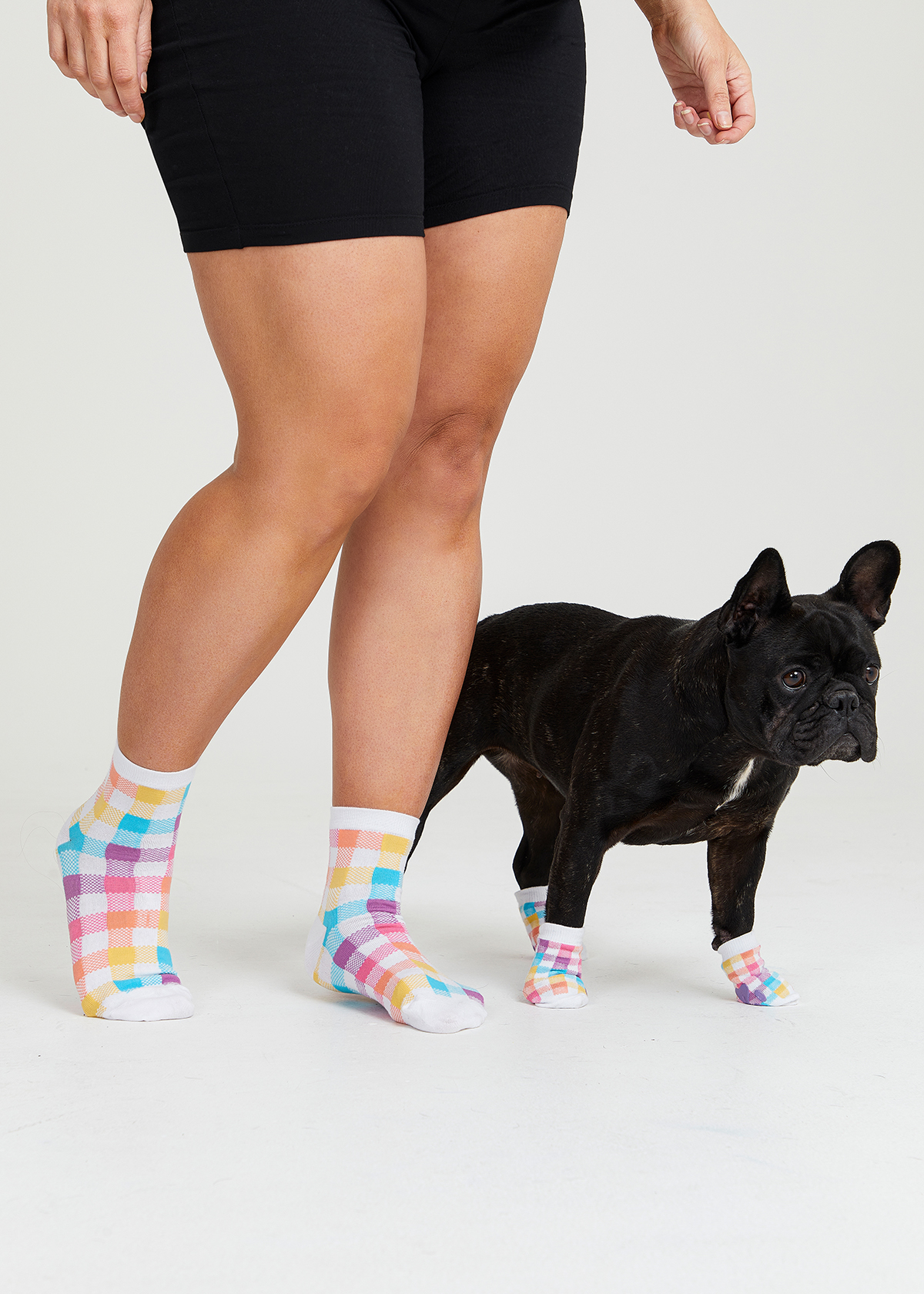 Shop Gingham Parent & Pet Socks in Multi | Accessories | Taking Shape AU